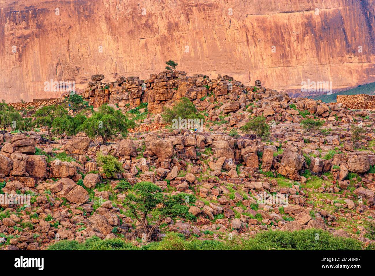 Sahelian landscape hi-res stock photography and images - Alamy