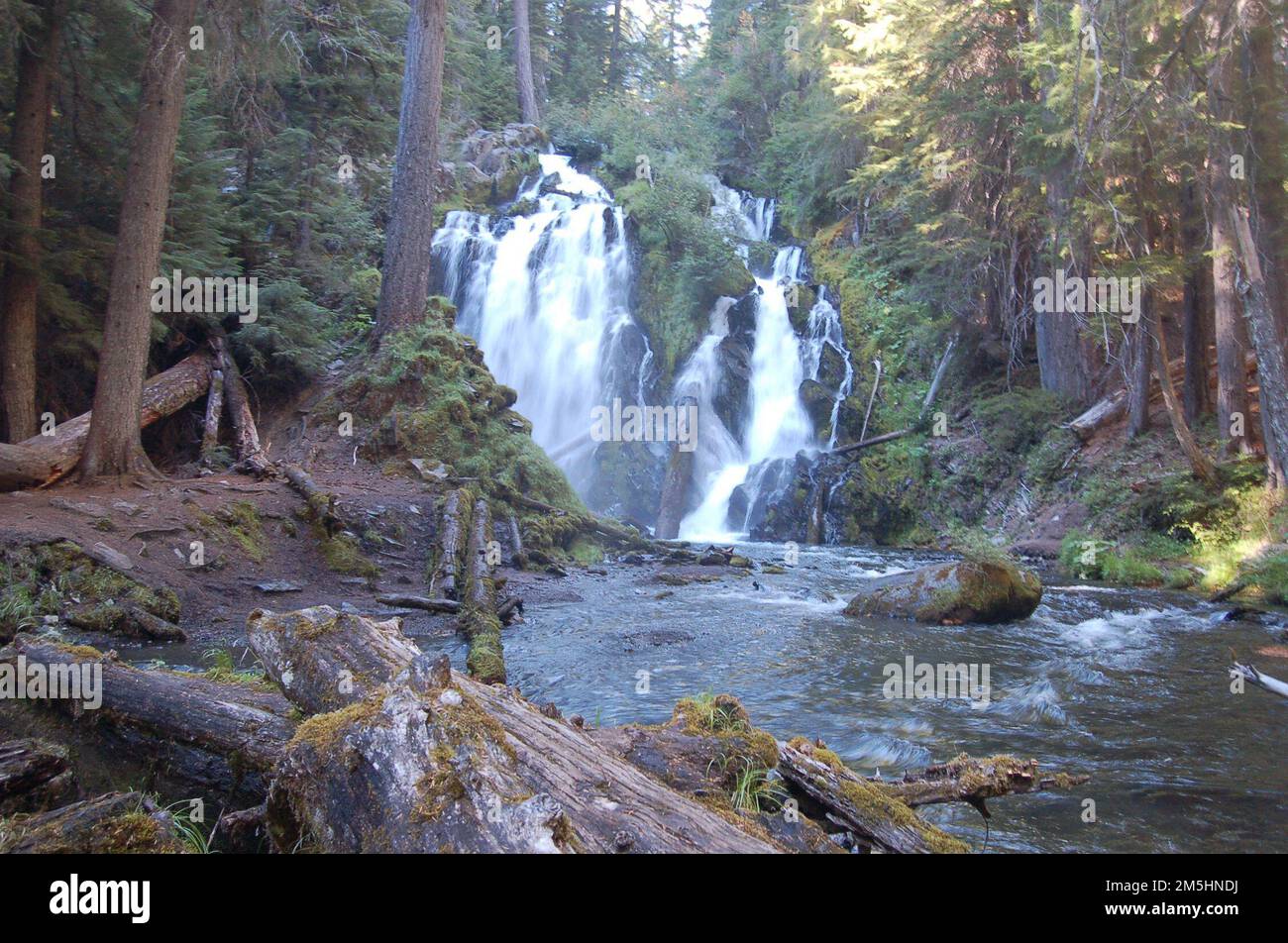 Rogue-Umpqua Scenic Byway - In Front of National Creek Falls. A ...