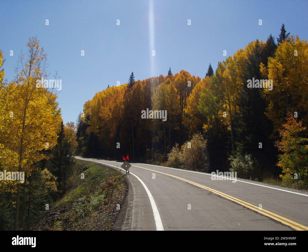 Coronado Trail Scenic Byway - Autumn Colors along the Trail. Gold ...