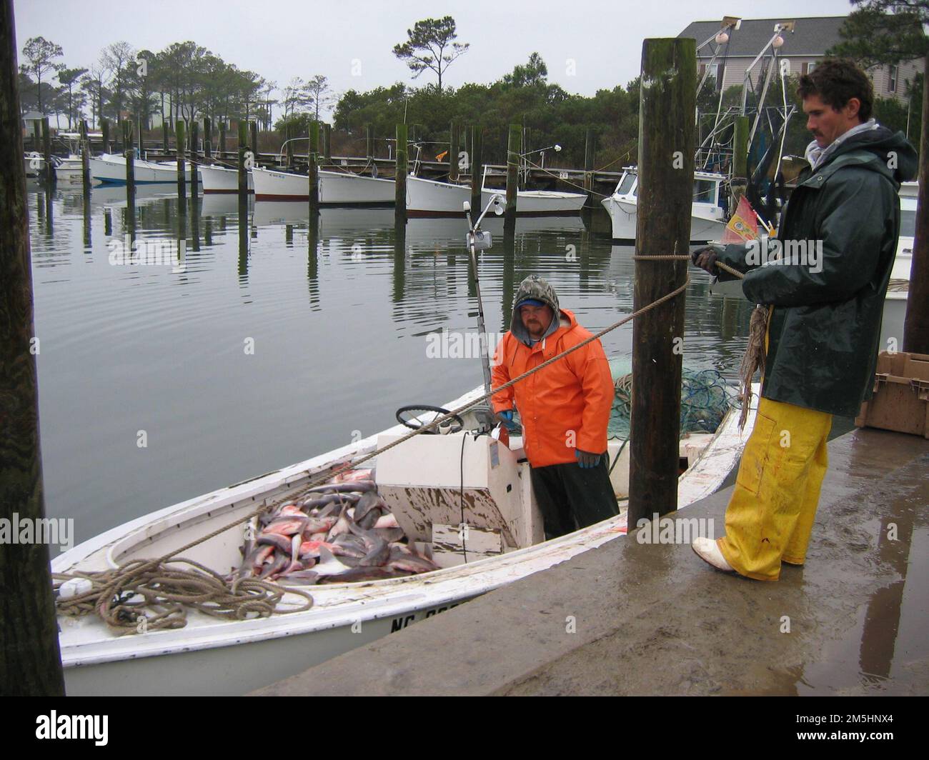 Outer Banks Scenic Byway - Harkers Island Fishermen and Harbor. Young ...