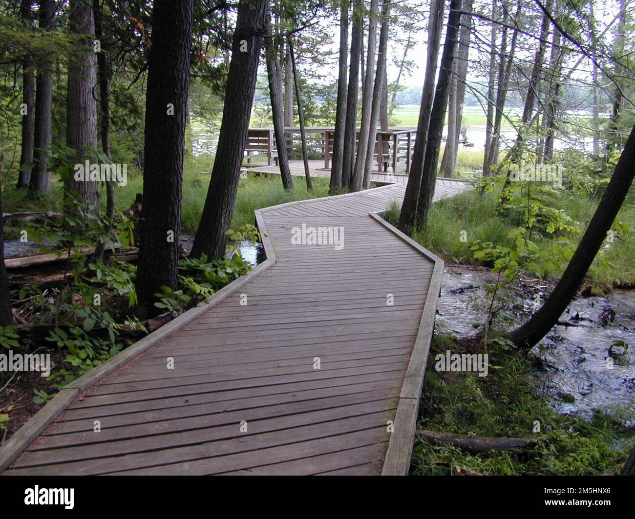 River Road Scenic Byway - The Boardwalk at Iargo Springs. Several ...