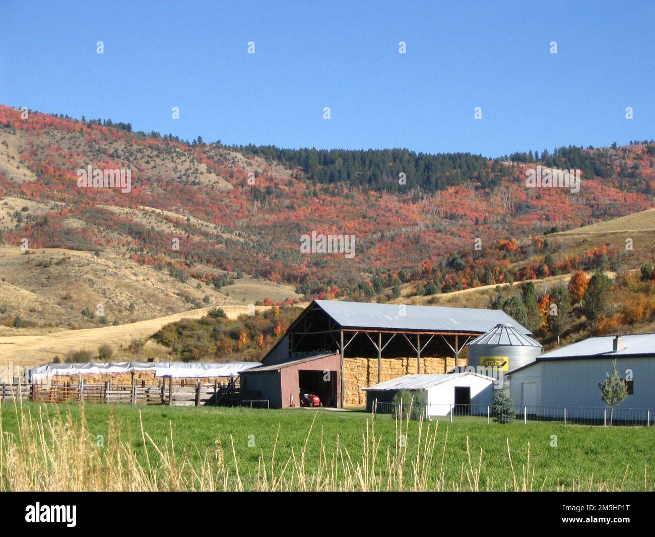 Pioneer Historic Byway - Autumn Hay Harvest. A rich harvest has filled ...