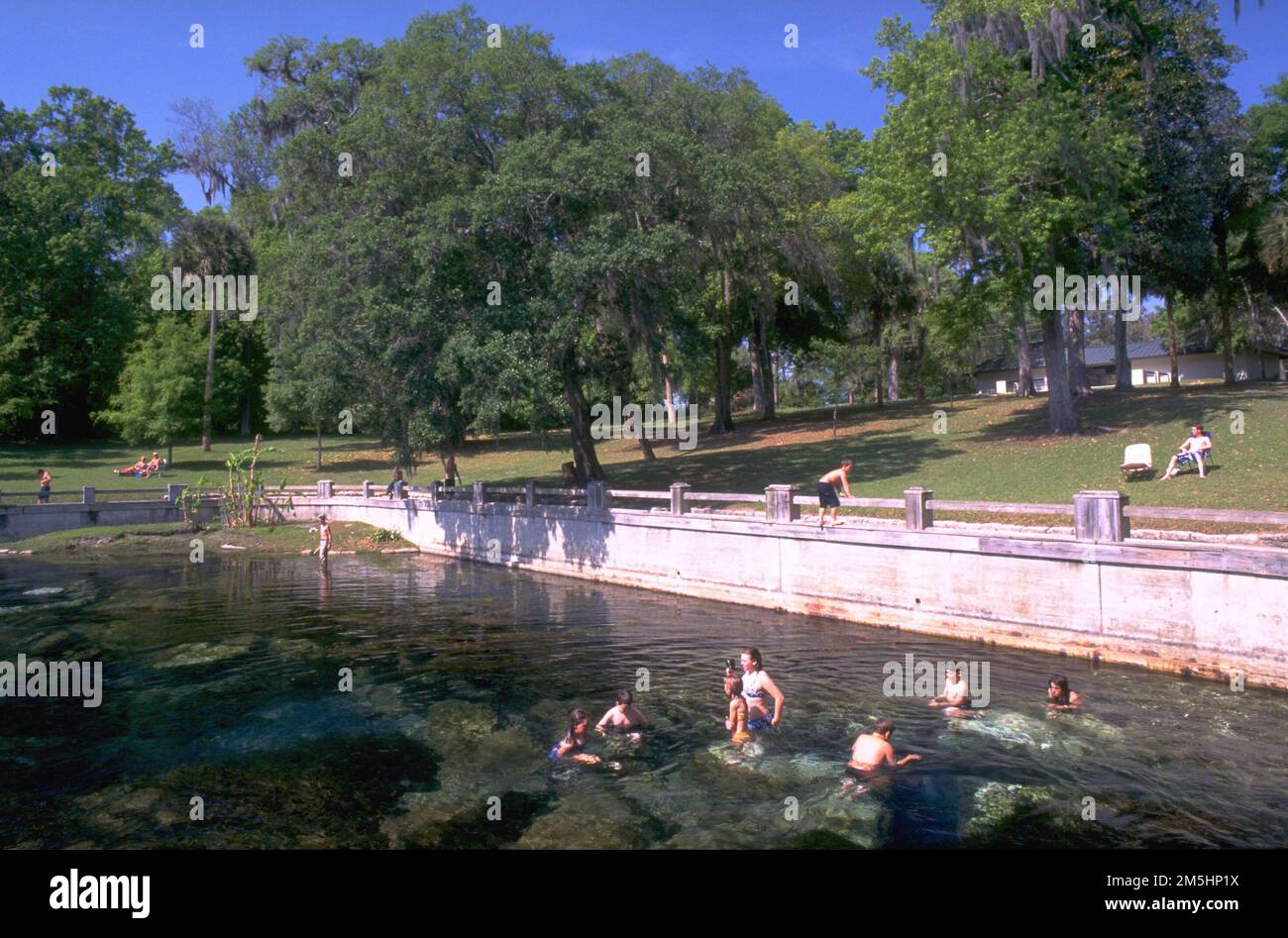 Florida Black Bear Scenic Byway - Swimmers in Salt Springs. Swimmers ...