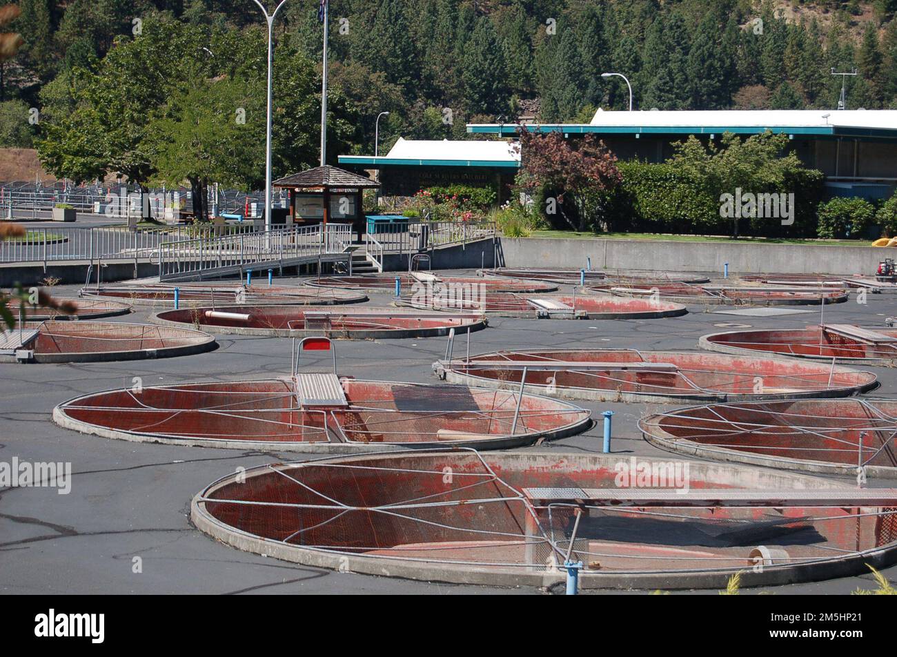 Rogue-Umpqua Scenic Byway - Fish Tanks at Cole M. Rivers Fish Hatchery ...