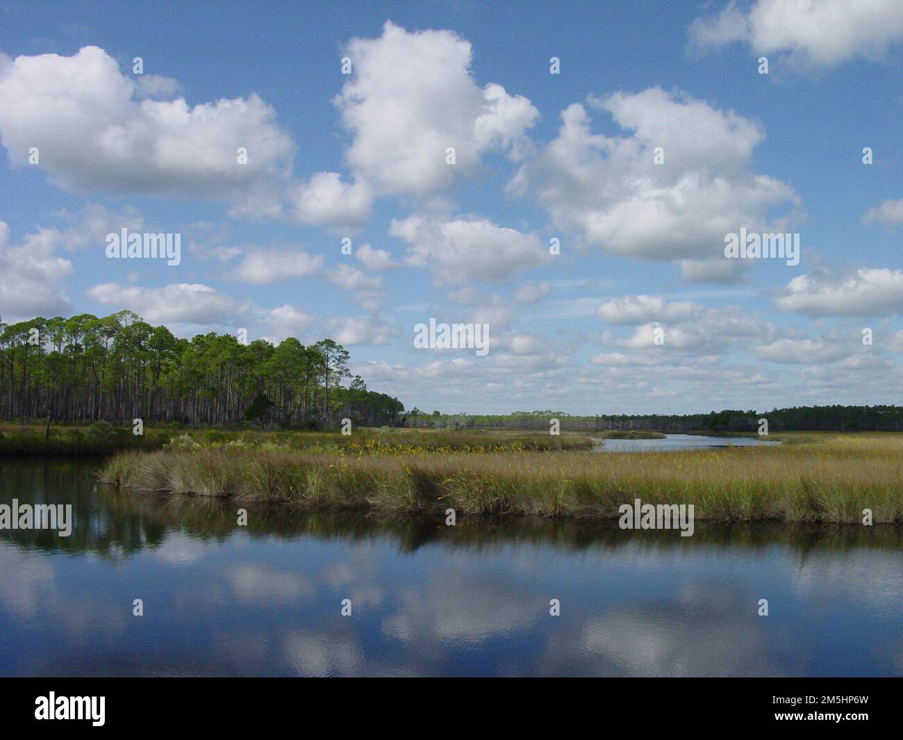 Big Bend Scenic Byway - Blackwater Creeks. These blackwater creeks ...