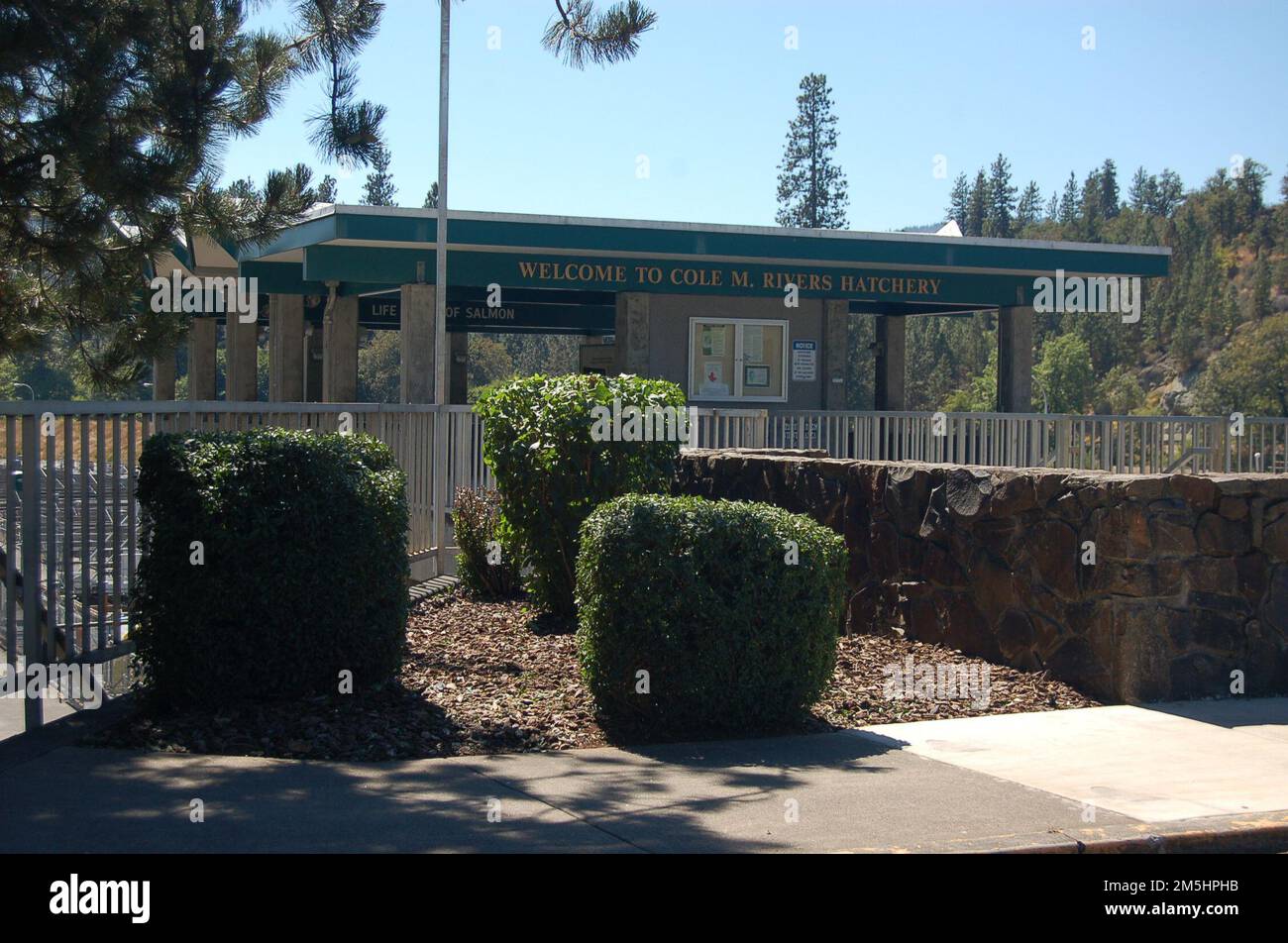 Rogue-Umpqua Scenic Byway - Cole M. Rivers Fish Hatchery. A small ...
