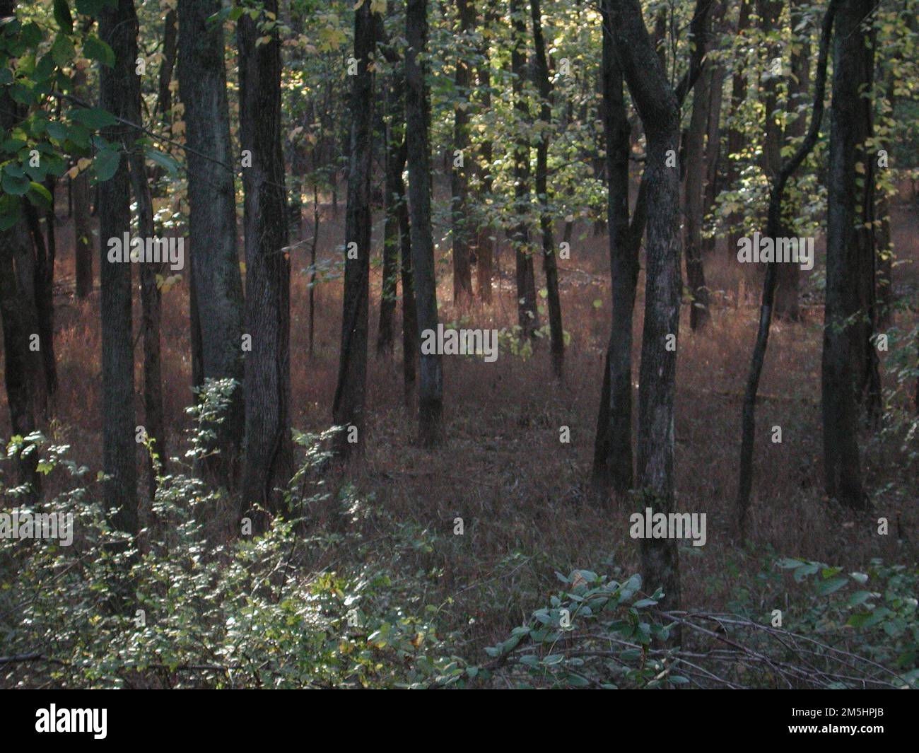 Millstone Valley Scenic Byway - Floodplain of the Millstone River. The ...