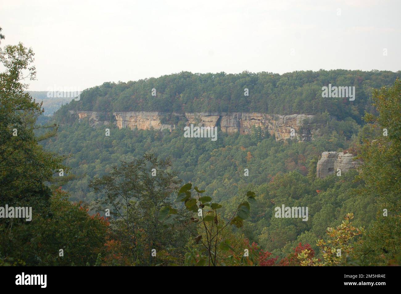 Red River Gorge Scenic Byway - View from Geological Overlook. Dense ...