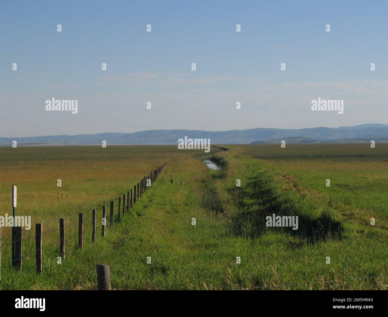 Irrigated pasture land hi-res stock photography and images - Alamy