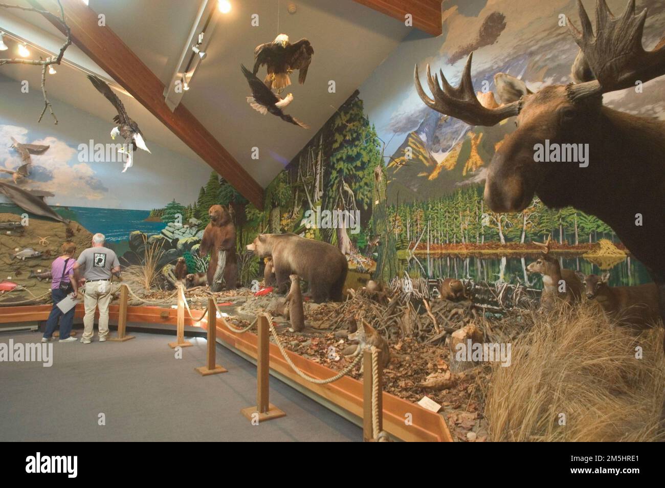 Haines Highway - Valley of the Eagles - Diorama in the American Bald ...