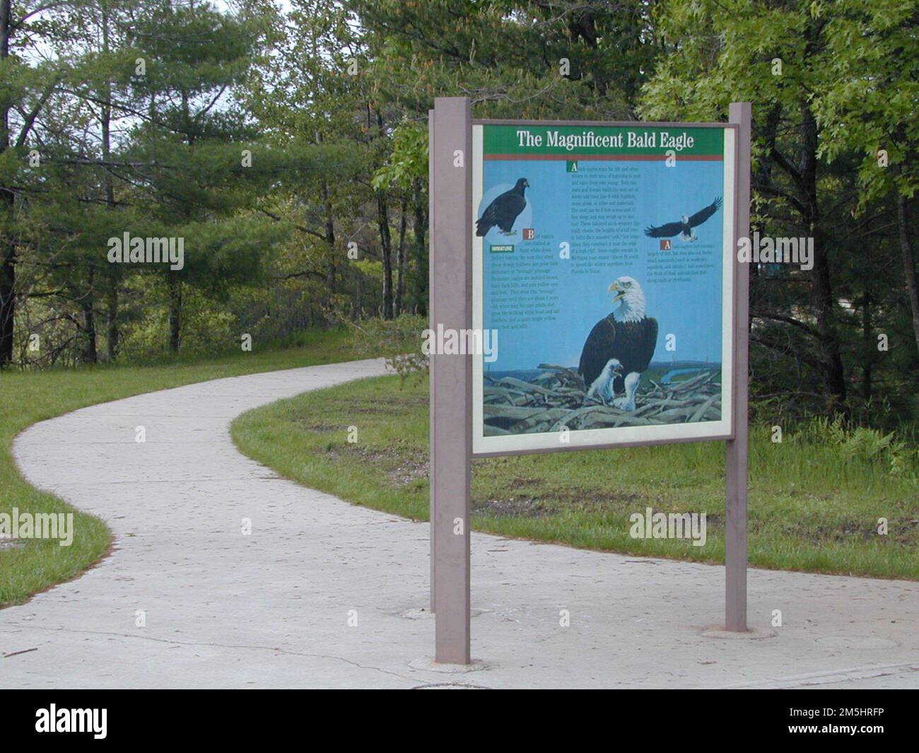 River Road Scenic Byway - Eagle Interpretation at Foote Pond Overlook ...