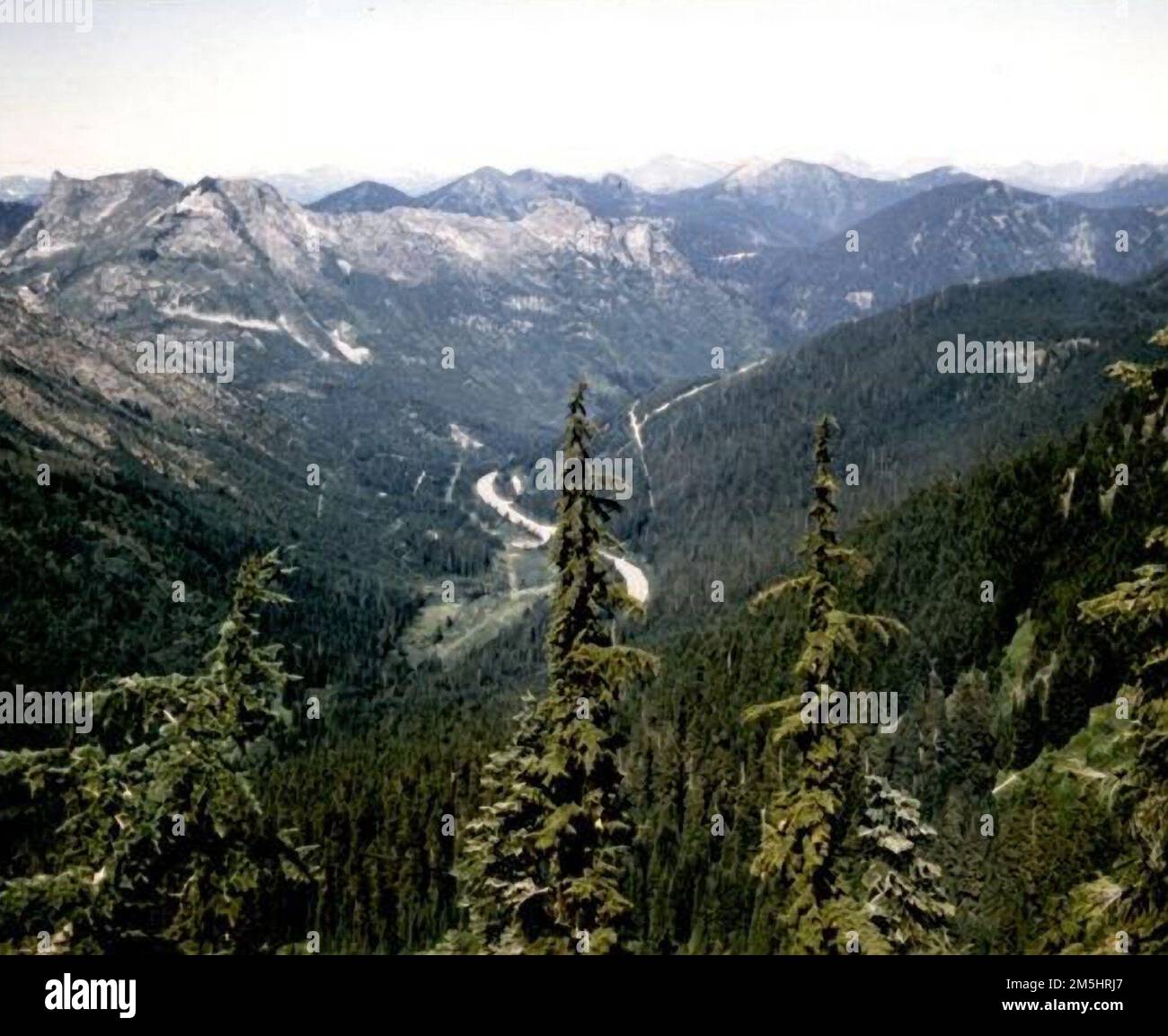 Stevens Pass Greenway - Cascade Mountains and Valley. Majestic pines ...