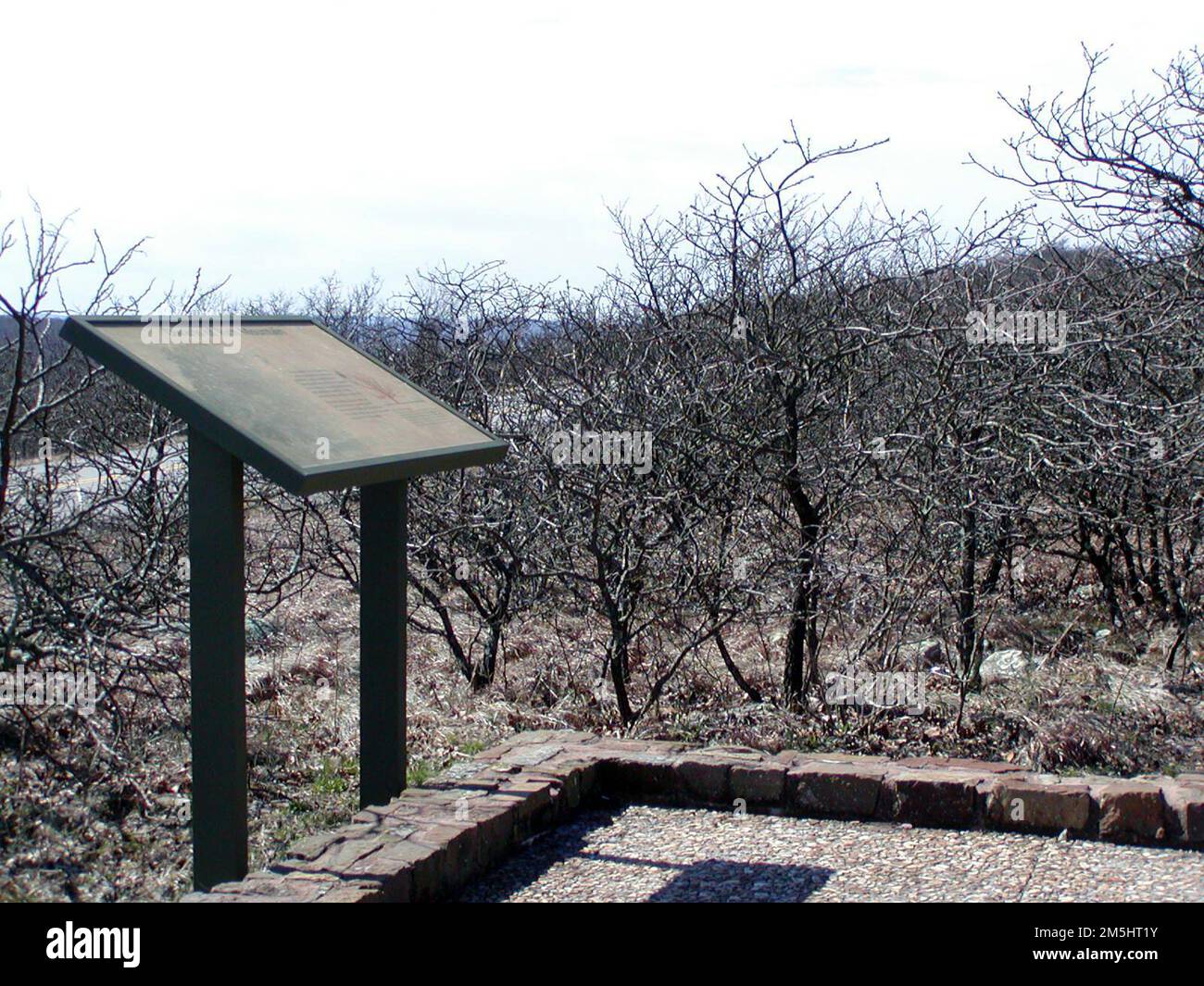 Talimena Scenic Drive - Dwarf Oaks At Castle Rock Vista. Weave along ...