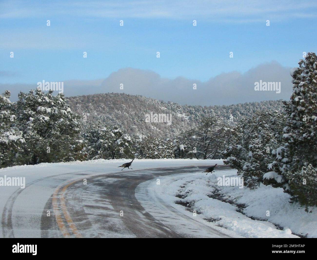 Coronado trail scenic byway arizona hi-res stock photography and images ...