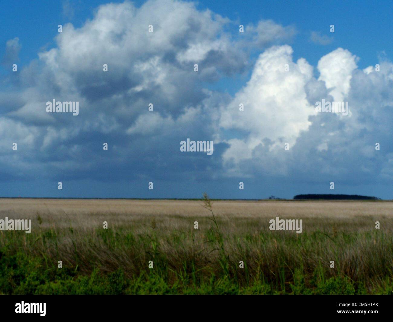 Outer Banks Scenic Byway - Thorofare Marsh and Sky. With a marsh ...