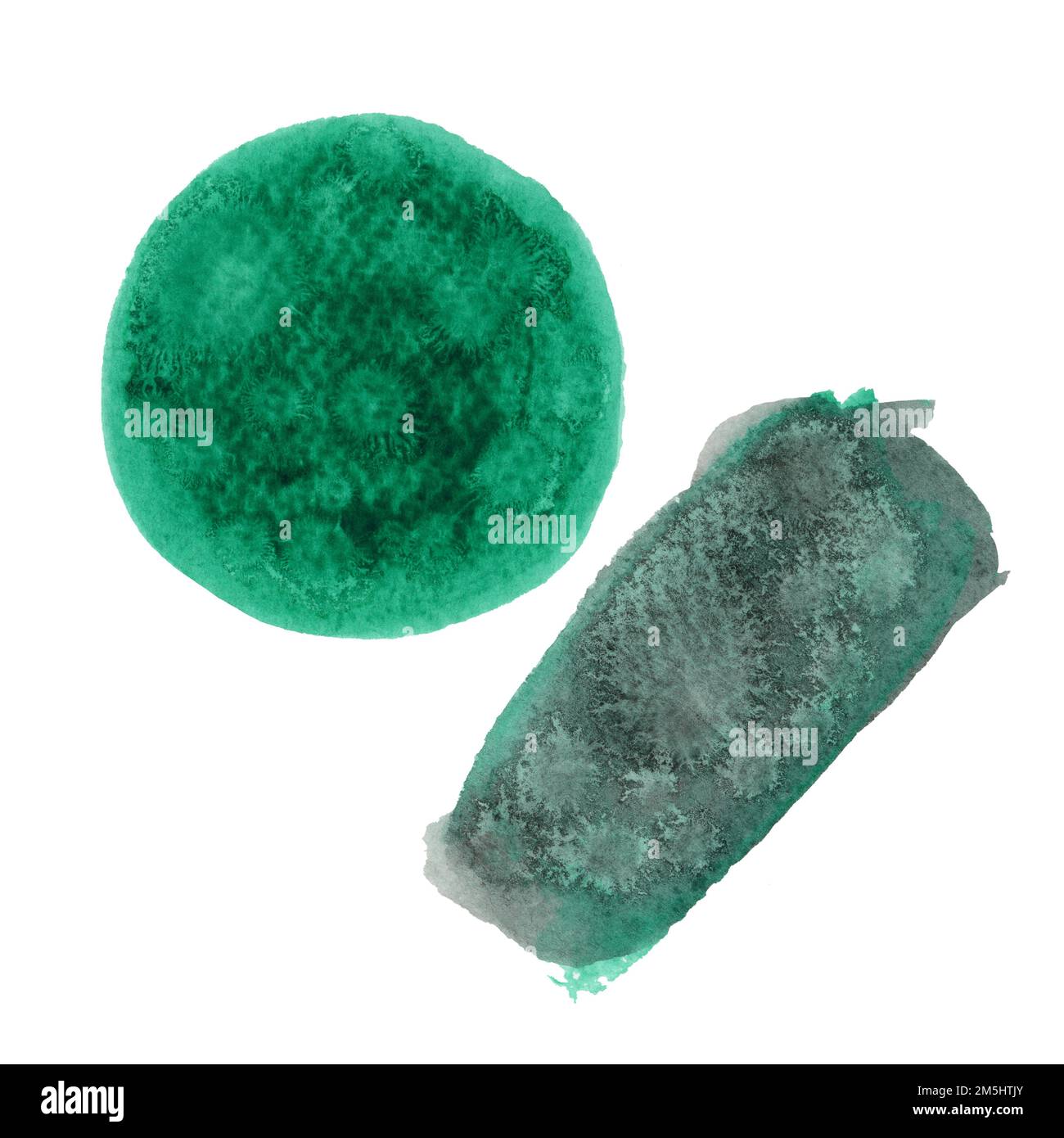 Green Watercolor blots. Oblong and round aquarelle stains Stock Photo ...