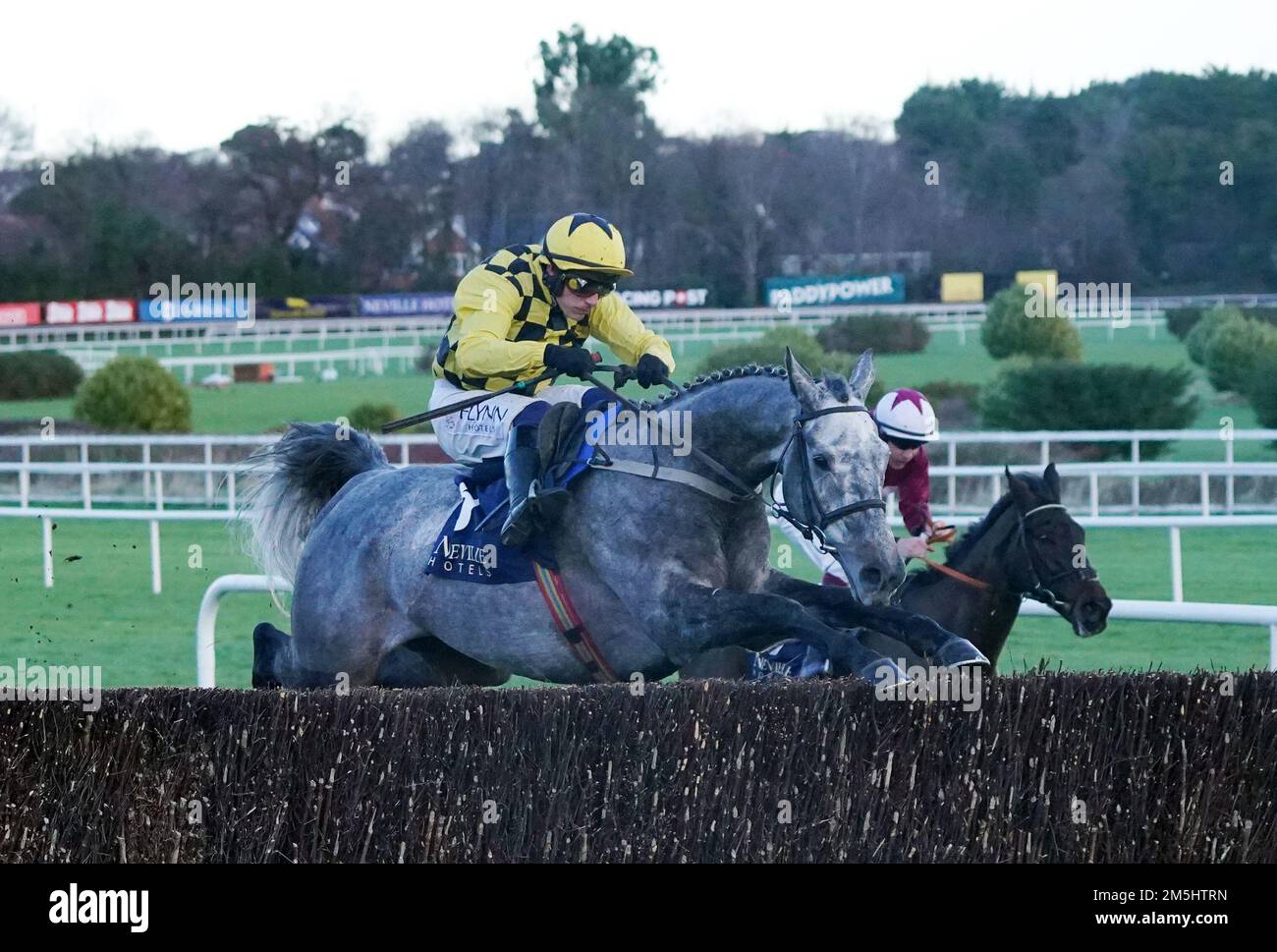 Gaillard du mesnil horse hi-res stock photography and images - Alamy