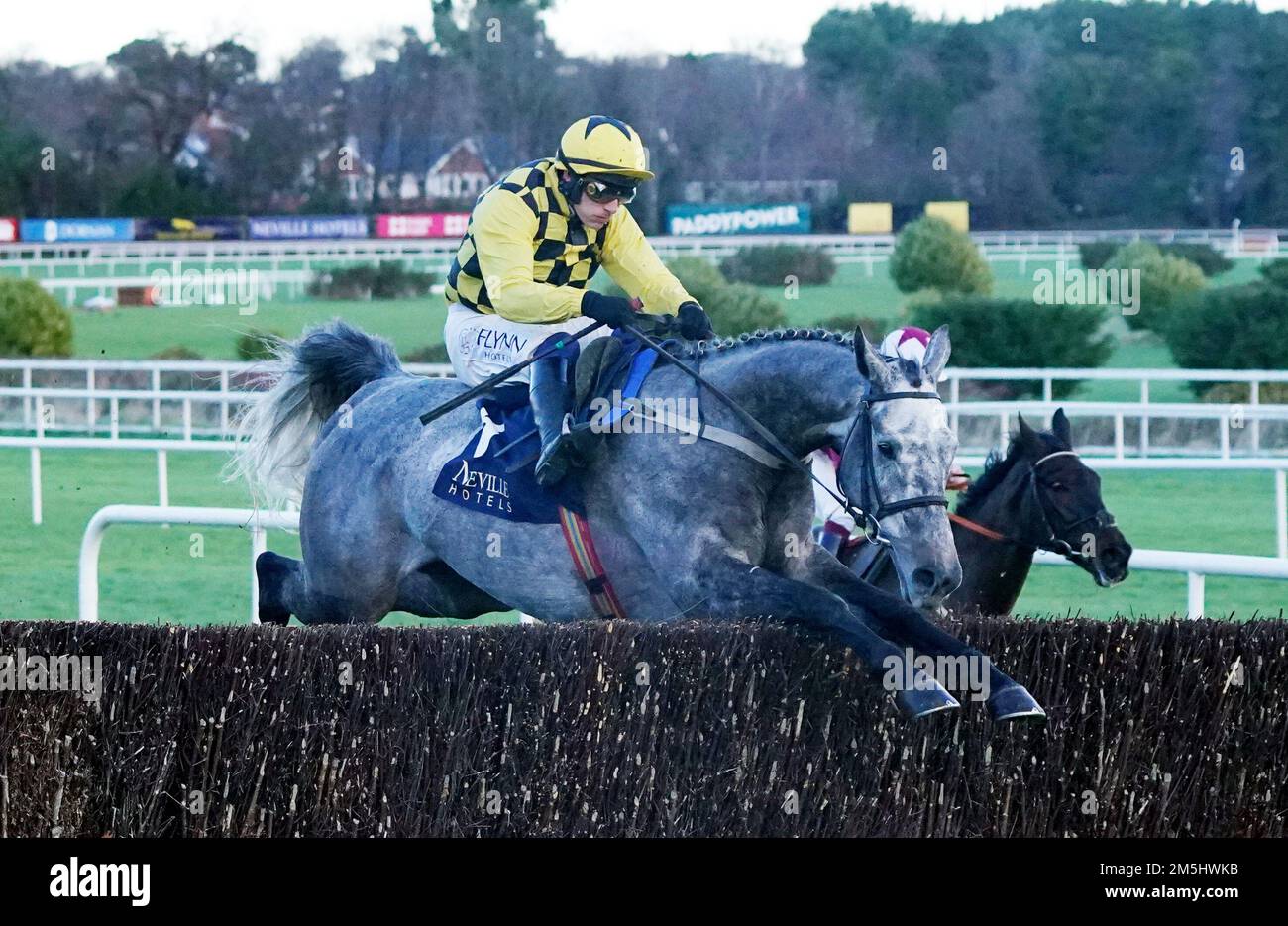 Gaillard du mesnil horse hi-res stock photography and images - Alamy