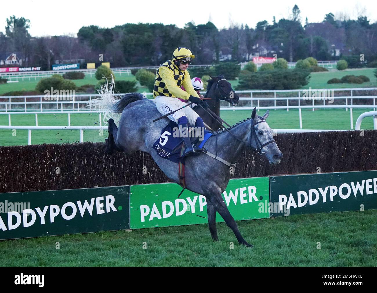 Gaillard du mesnil horse hi-res stock photography and images - Alamy