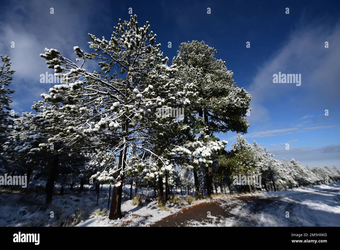 December 26, 2022, Perote, Mexico: People took advantage of the first ...