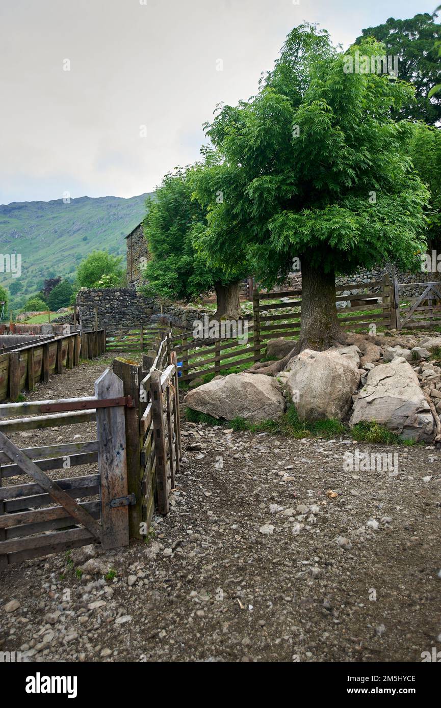Disused farm buildings and fencing, the lake district national park, UK ...