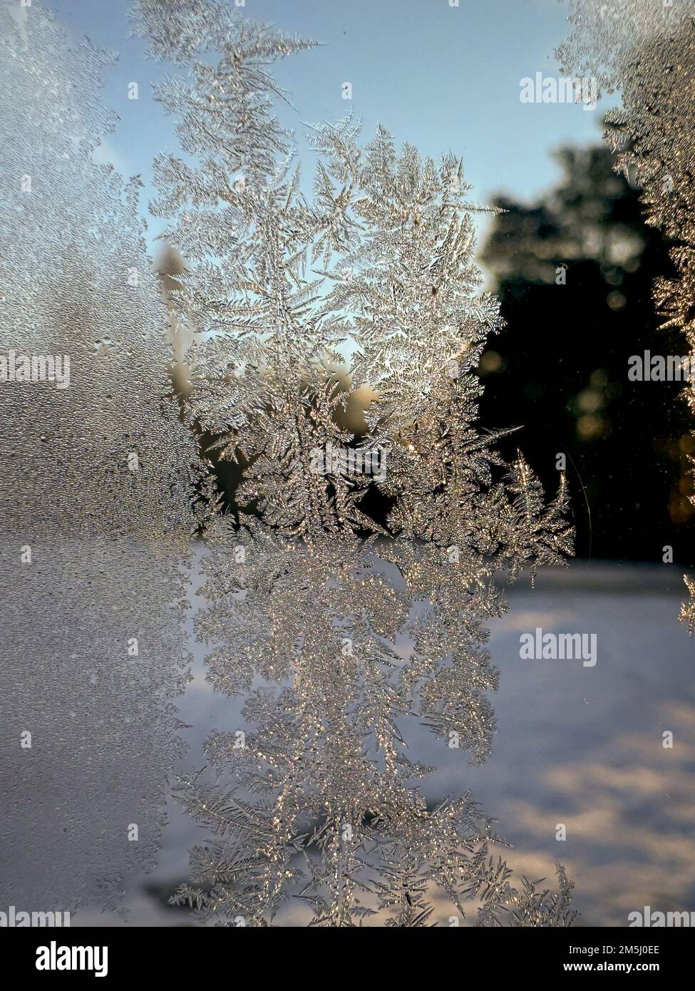Frozen ice on the wall (pattern). Close-up. Frozen ice on the wall ...