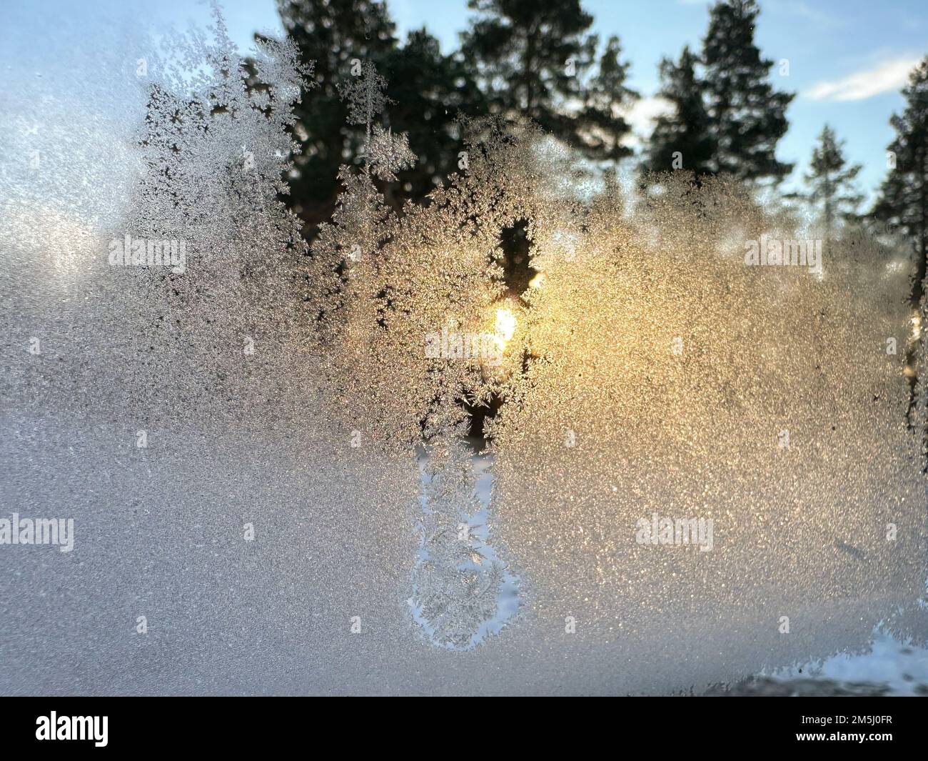 Frozen ice on the wall (pattern). Close-up. Frozen ice on the wall ...