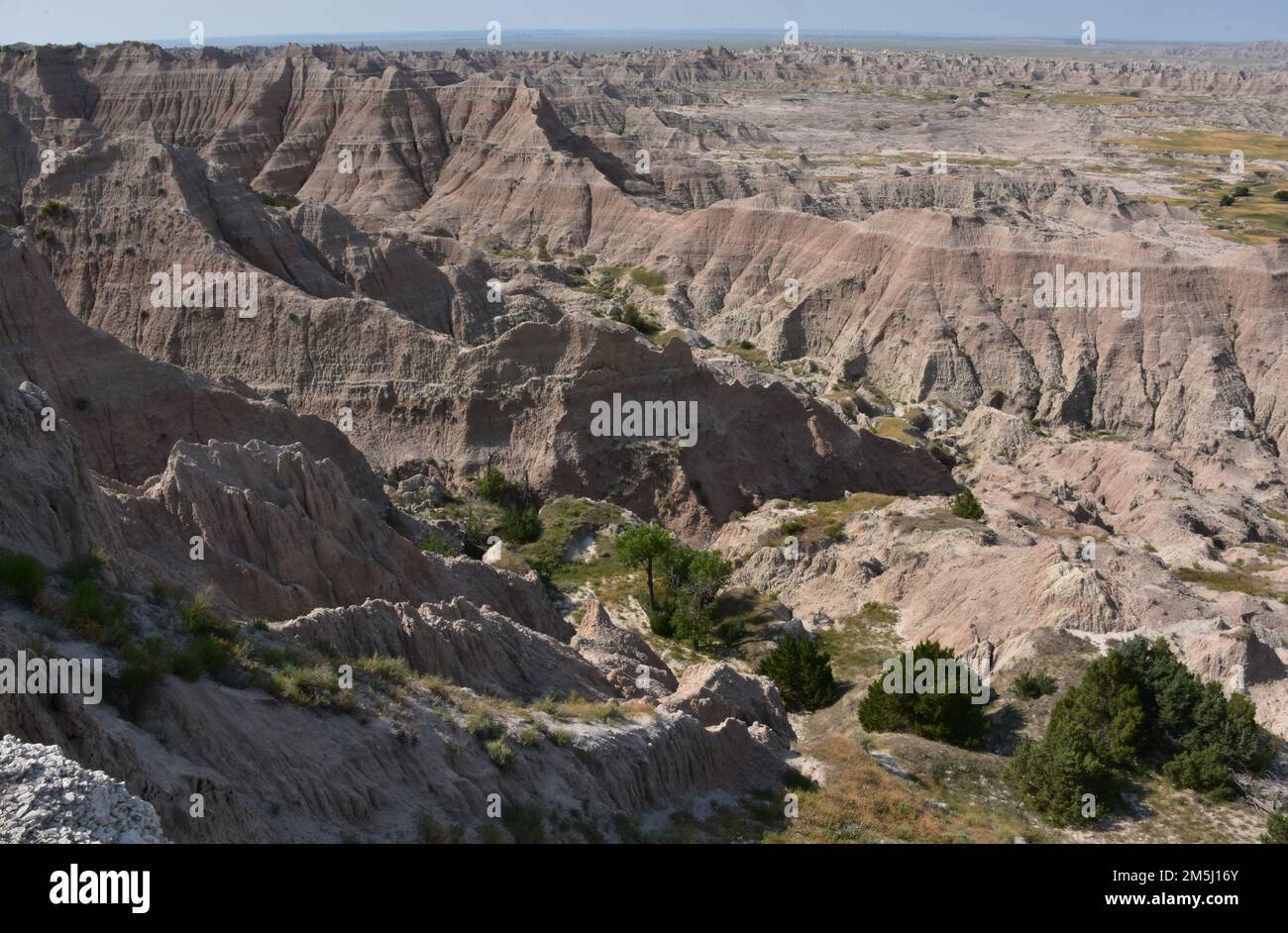 Small valley in the Badlands with trees and grass growing between peaks ...