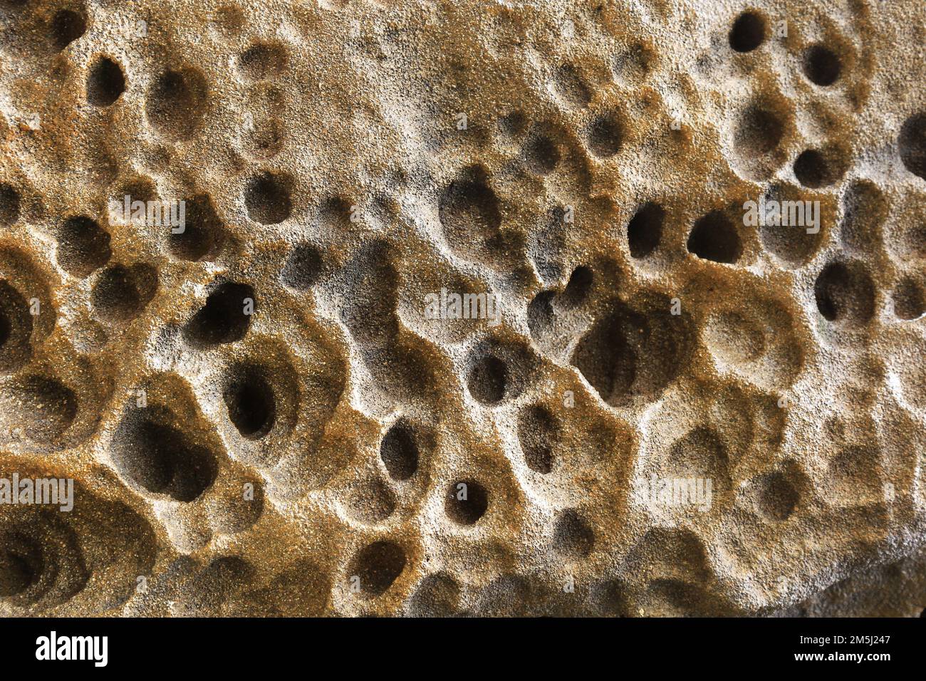 A closeup of the beach sand with crab holes in the daylight Stock Photo ...