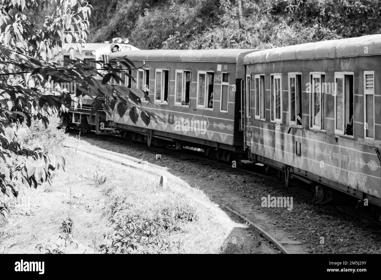 Signal hill garden Black and White Stock Photos & Images - Alamy