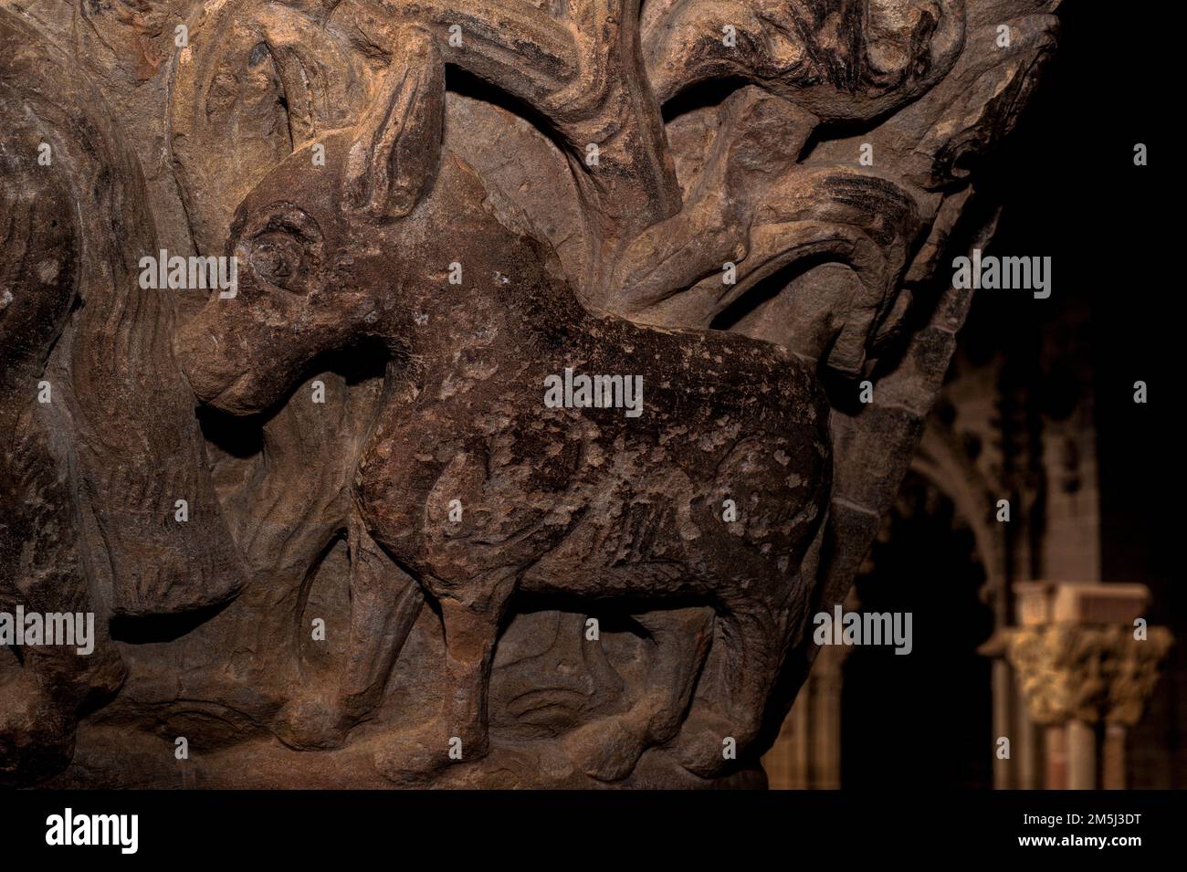 Donkey foal or colt. Detail of Romanesque stone capital, sculpted c ...
