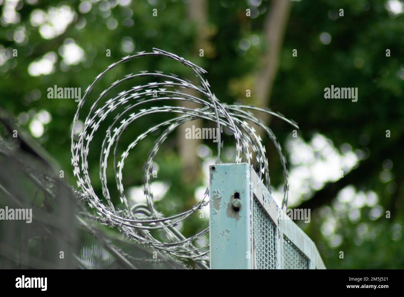 Border zone fence hi-res stock photography and images - Alamy