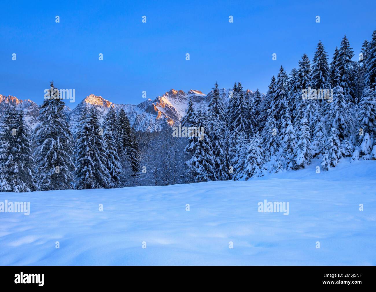 Snow landscape at Elmau, Upper Bavaria, Bavaria, Germany, Europe Stock ...