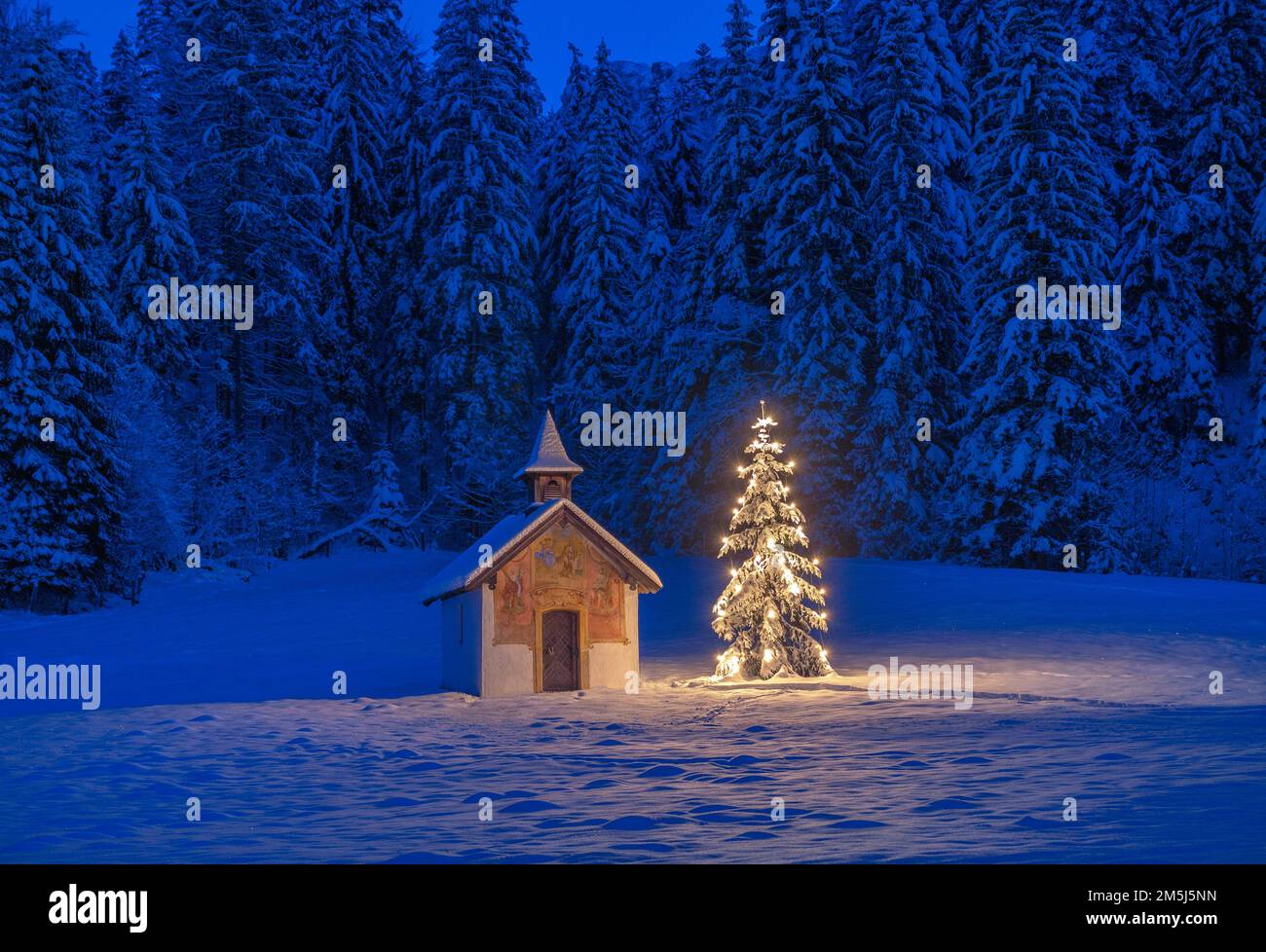 Illuminated Christmas tree in front of a chapel in winter, Bavaria ...