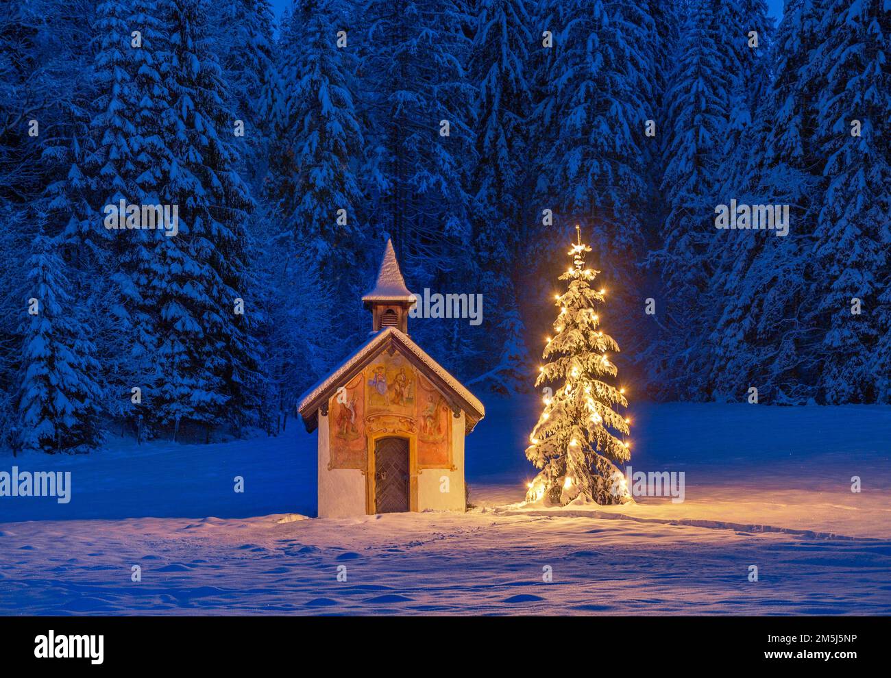 Illuminated Christmas tree in front of a chapel in winter, Bavaria ...