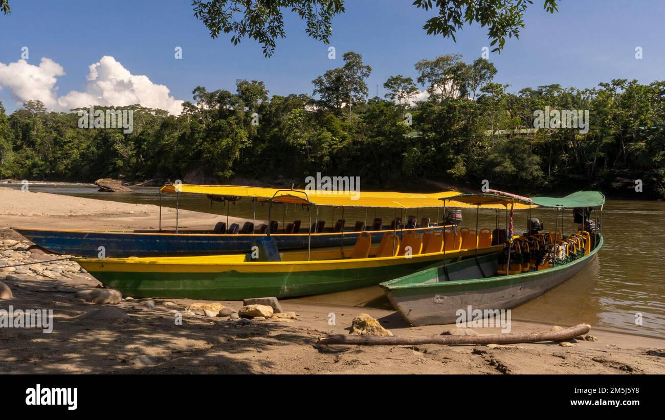 River canoes to go through the Amazon jungle to an indigenous tribe in ...