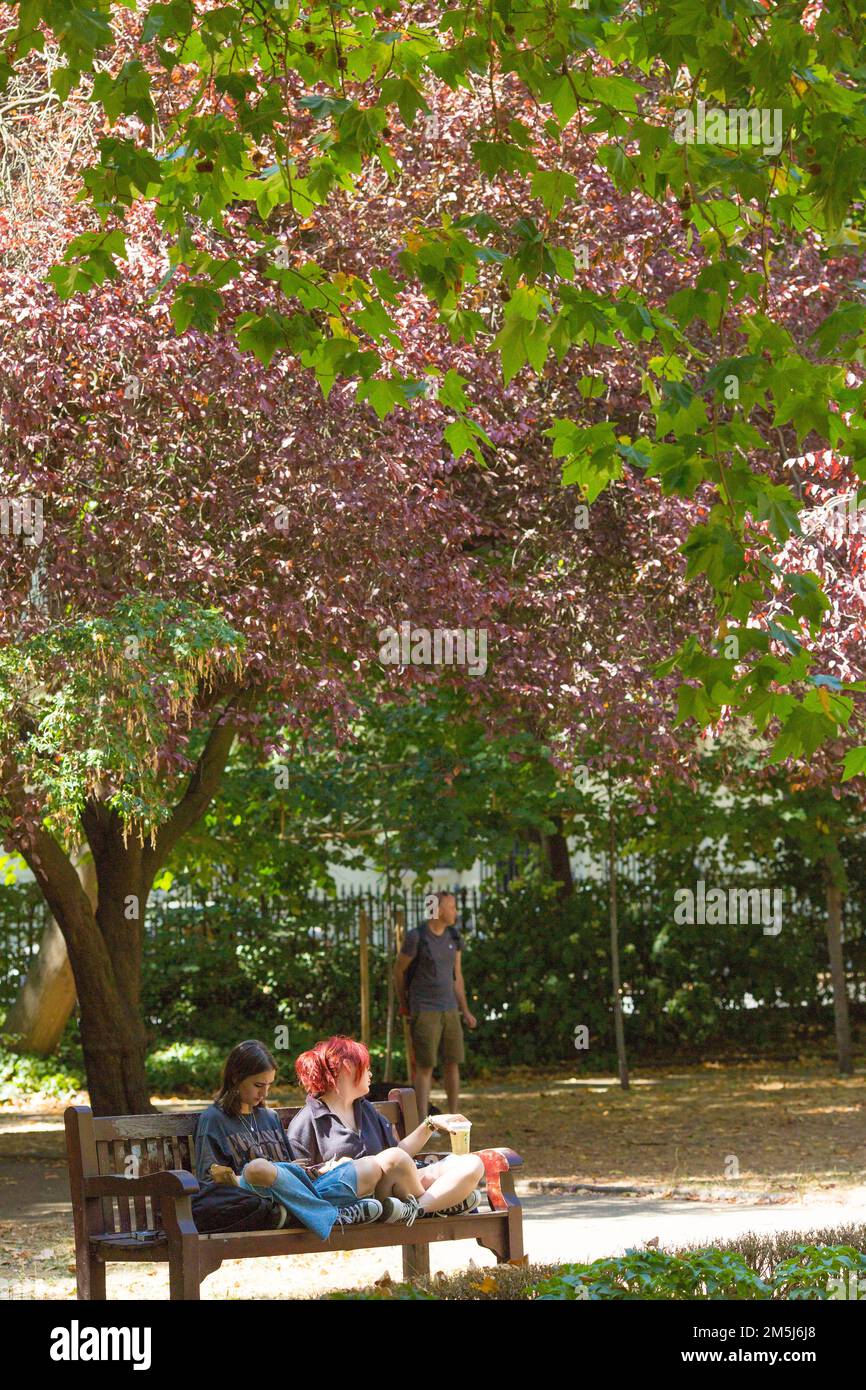 People sit on a bench in Tavistock Square, central London Stock Photo ...