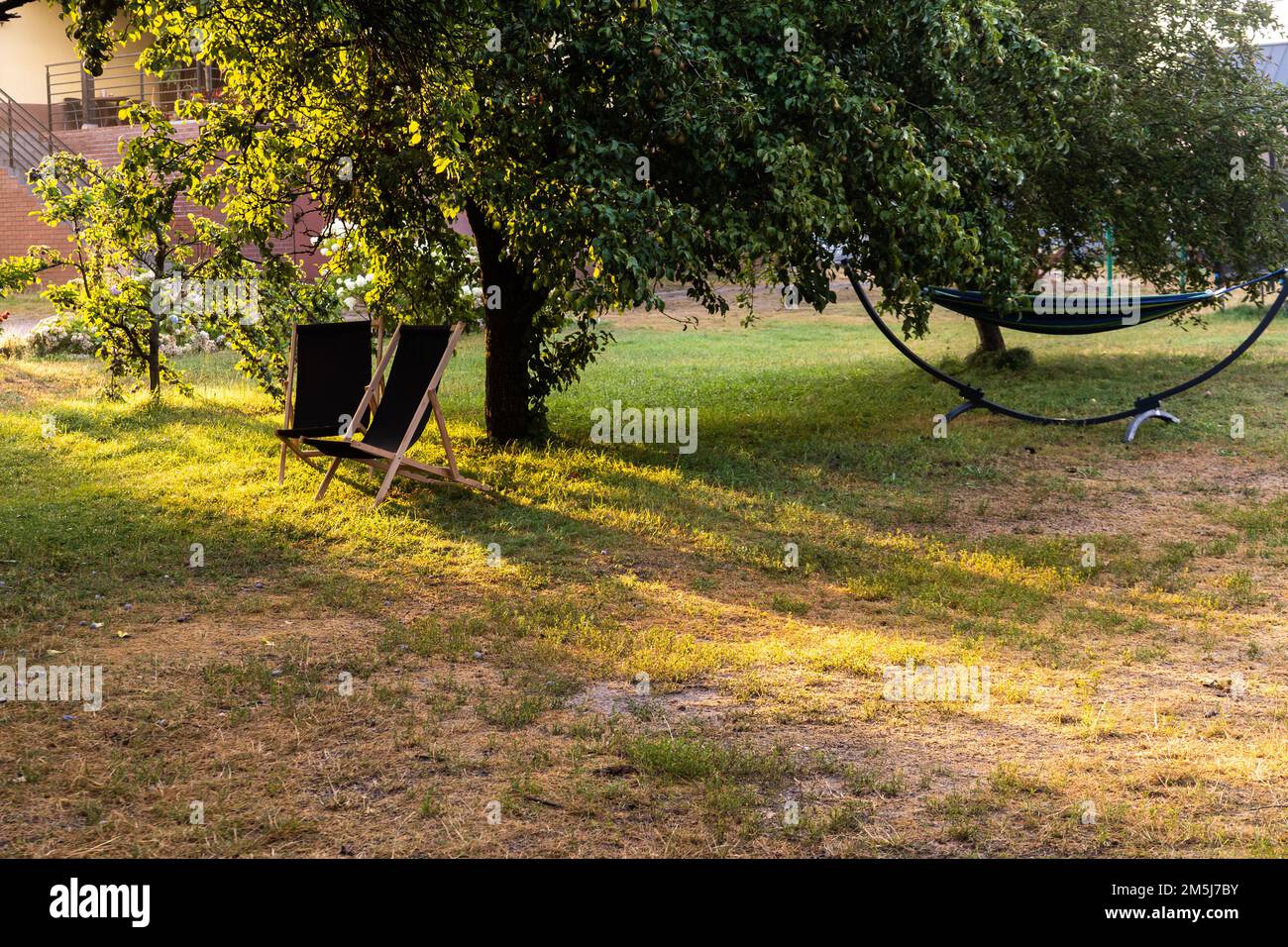 Two deck chairs stand under a tree in the light of the rising sun Stock ...