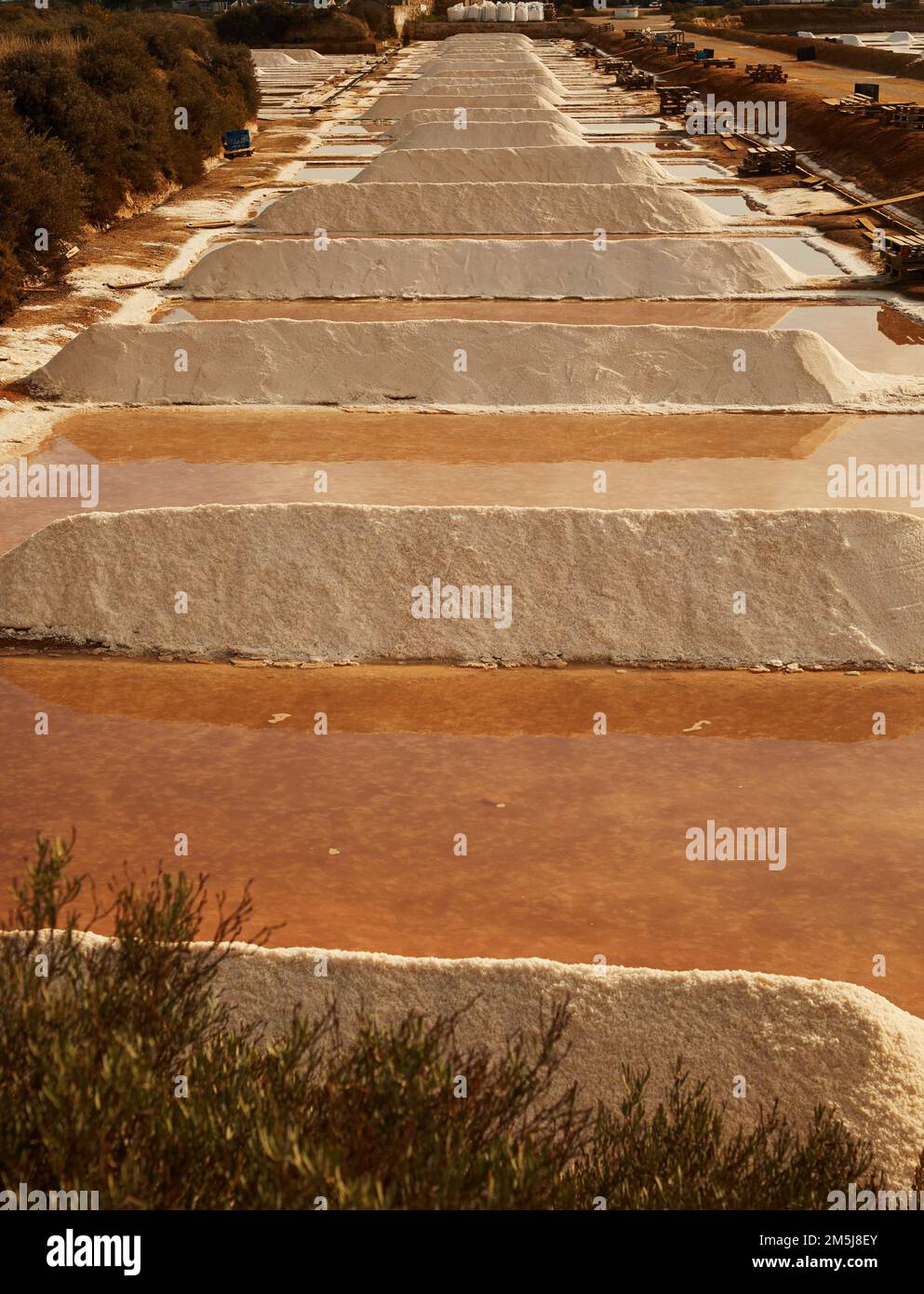 A vertical shot of Faro salt flats where sea salt is made and harvested ...