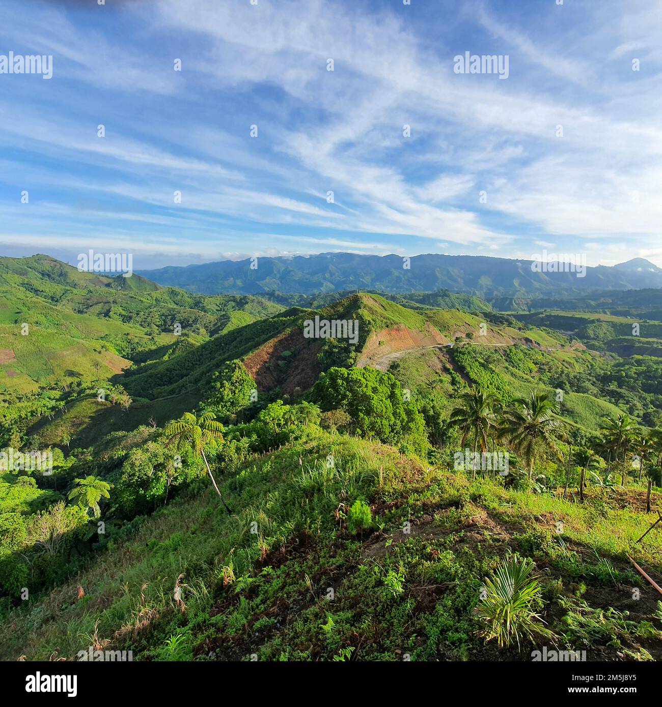 A beautiful view of green forested hills on a sunny summer day Stock ...