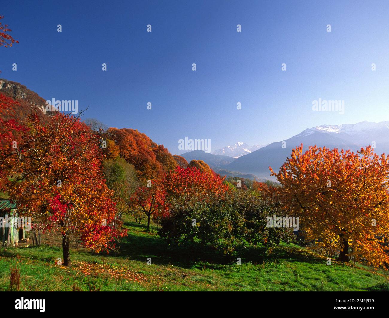 Autumn colors in Savoy Stock Photo - Alamy