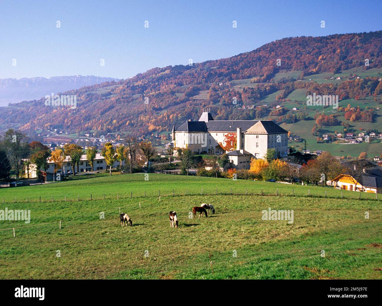 Gelon hi-res stock photography and images - Alamy