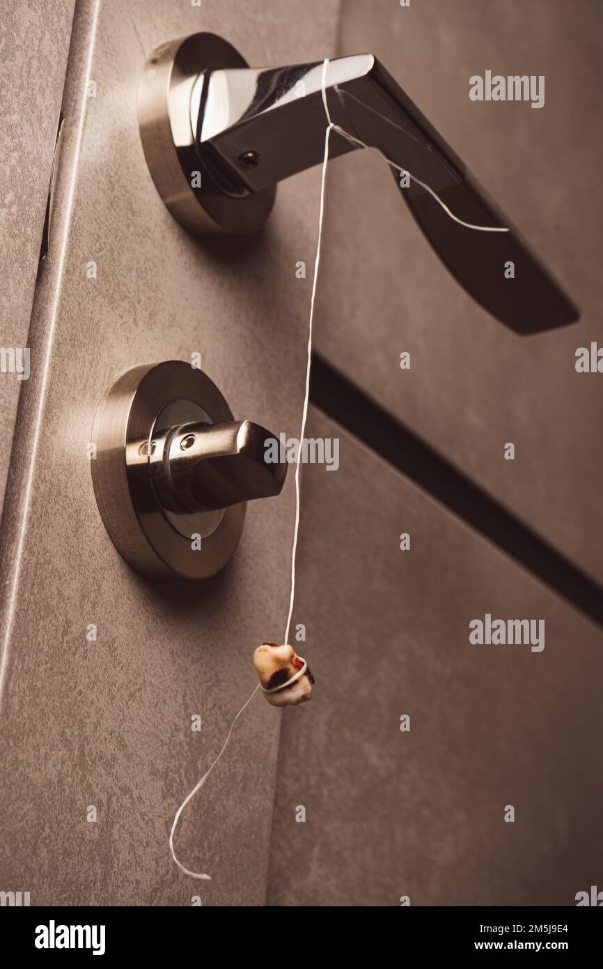 Real human teeth hanging on the door handle. Pulled out tooth ...