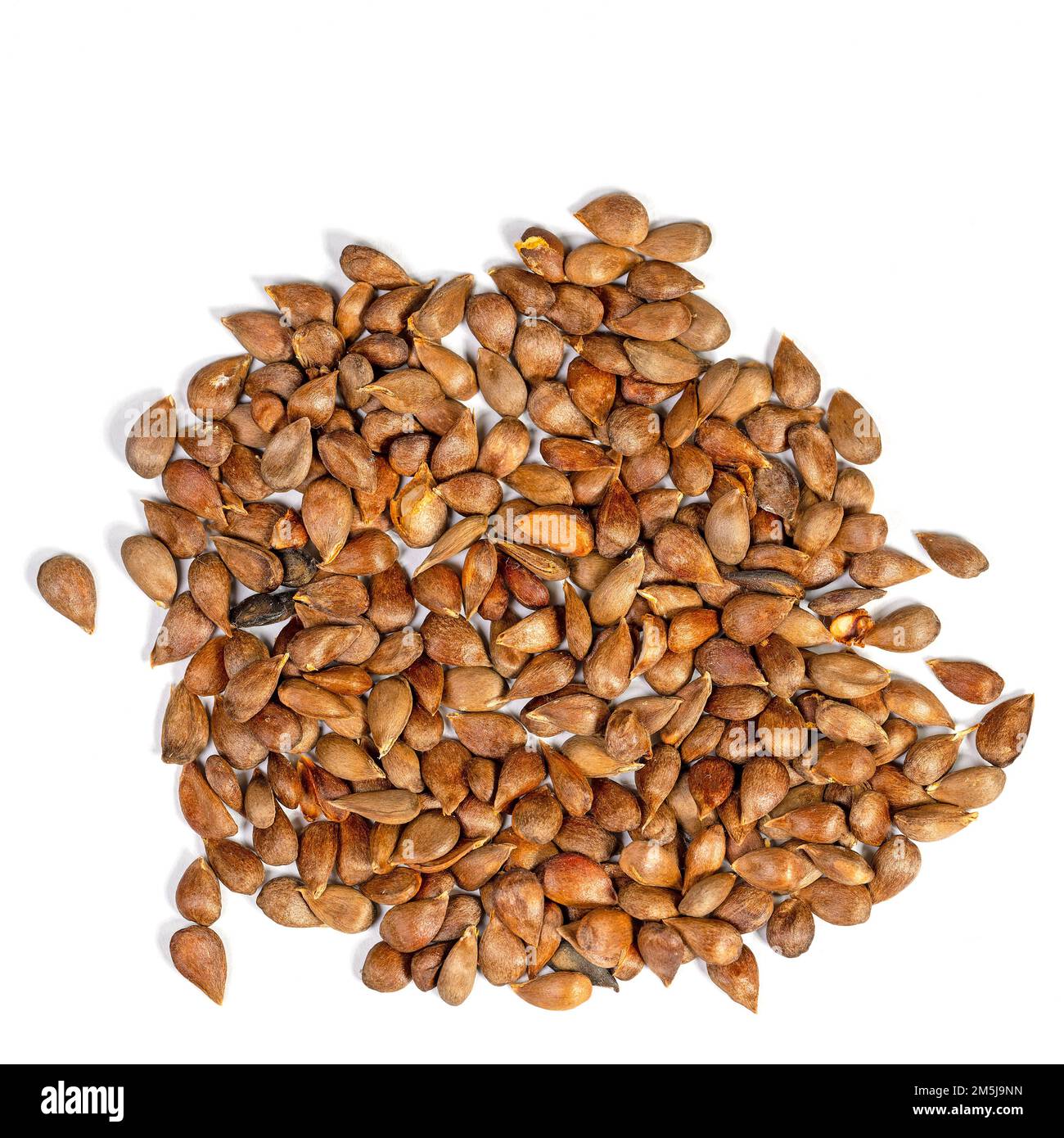 Apple cores against white background Stock Photo - Alamy