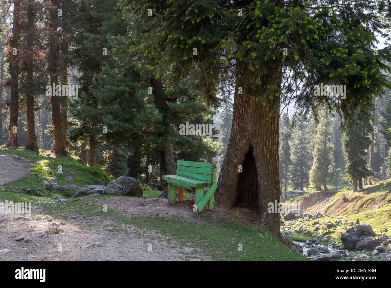 Kashmir landscape. Bench on the mountain jungle route Stock Photo - Alamy
