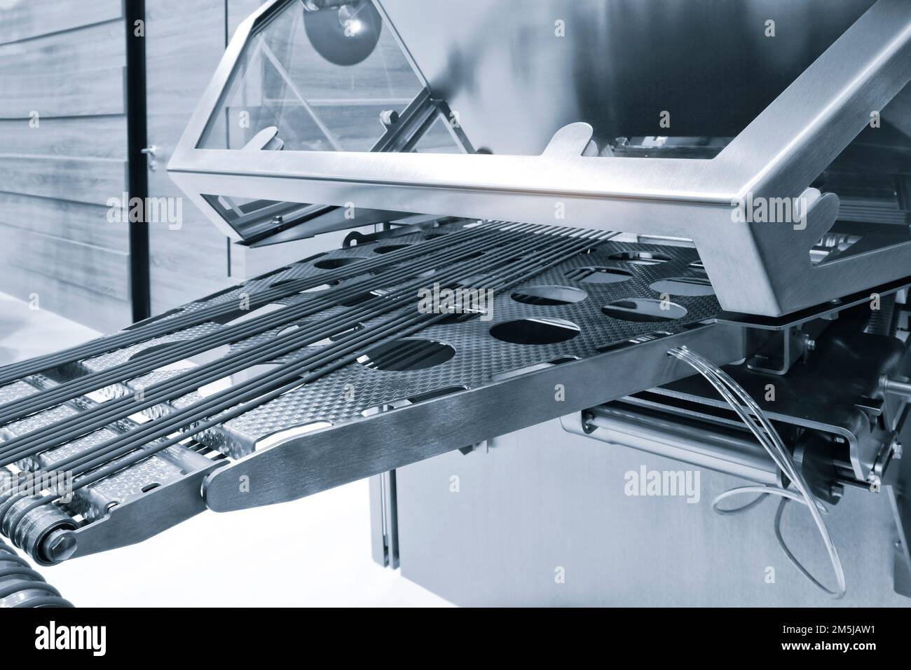 Conveyor Belt Food.Factory for the production of food. Production line ...