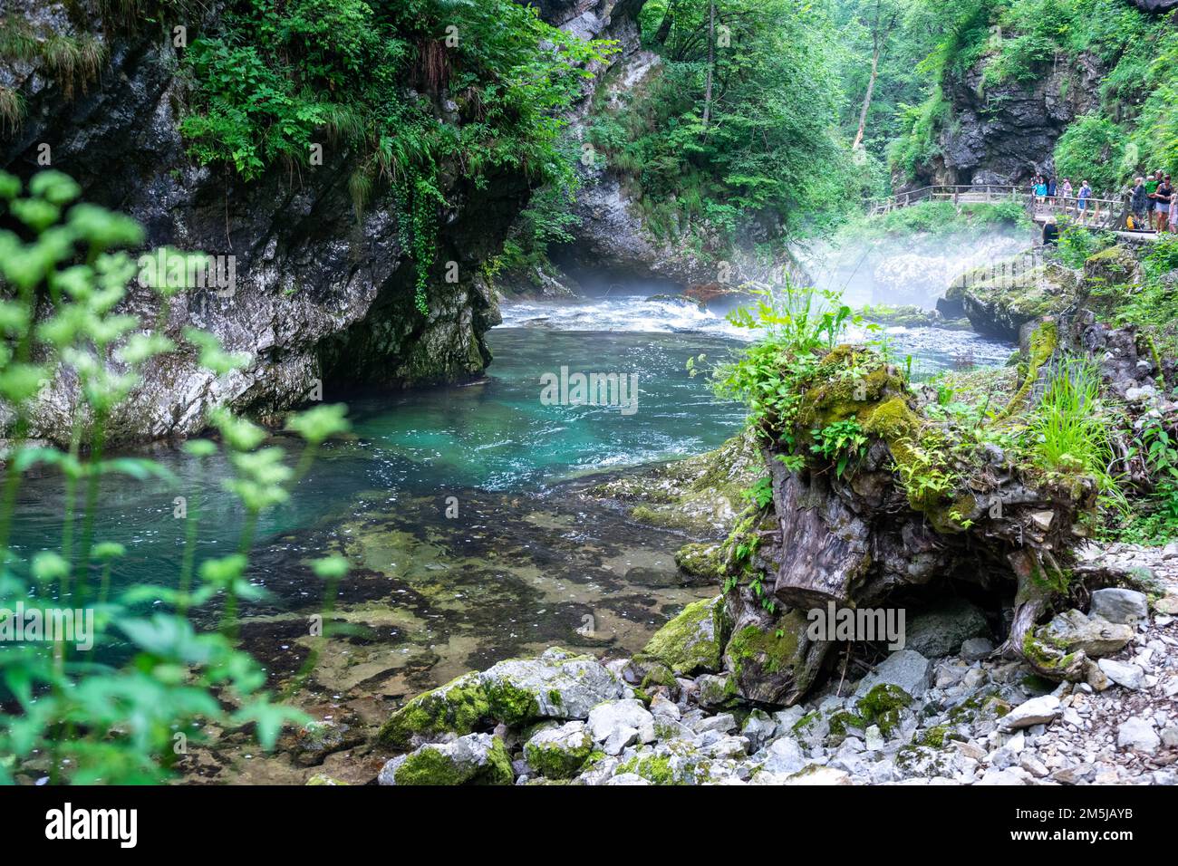 the Vintgar Gorge in Bled, Slovenia Stock Photo - Alamy