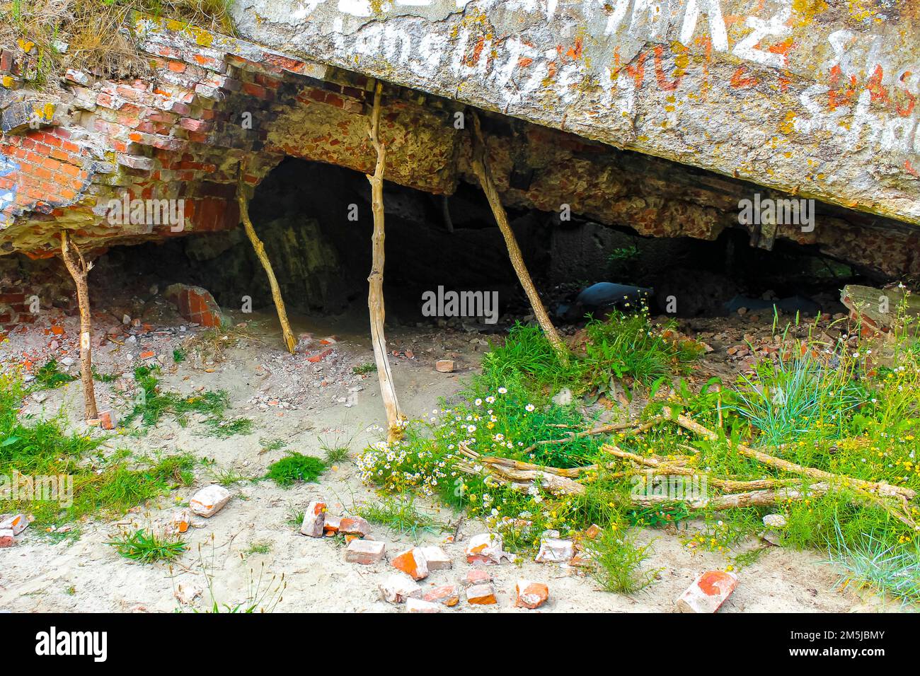 Old broken brick ruin in nature on Langlütjen island in Nordenham ...