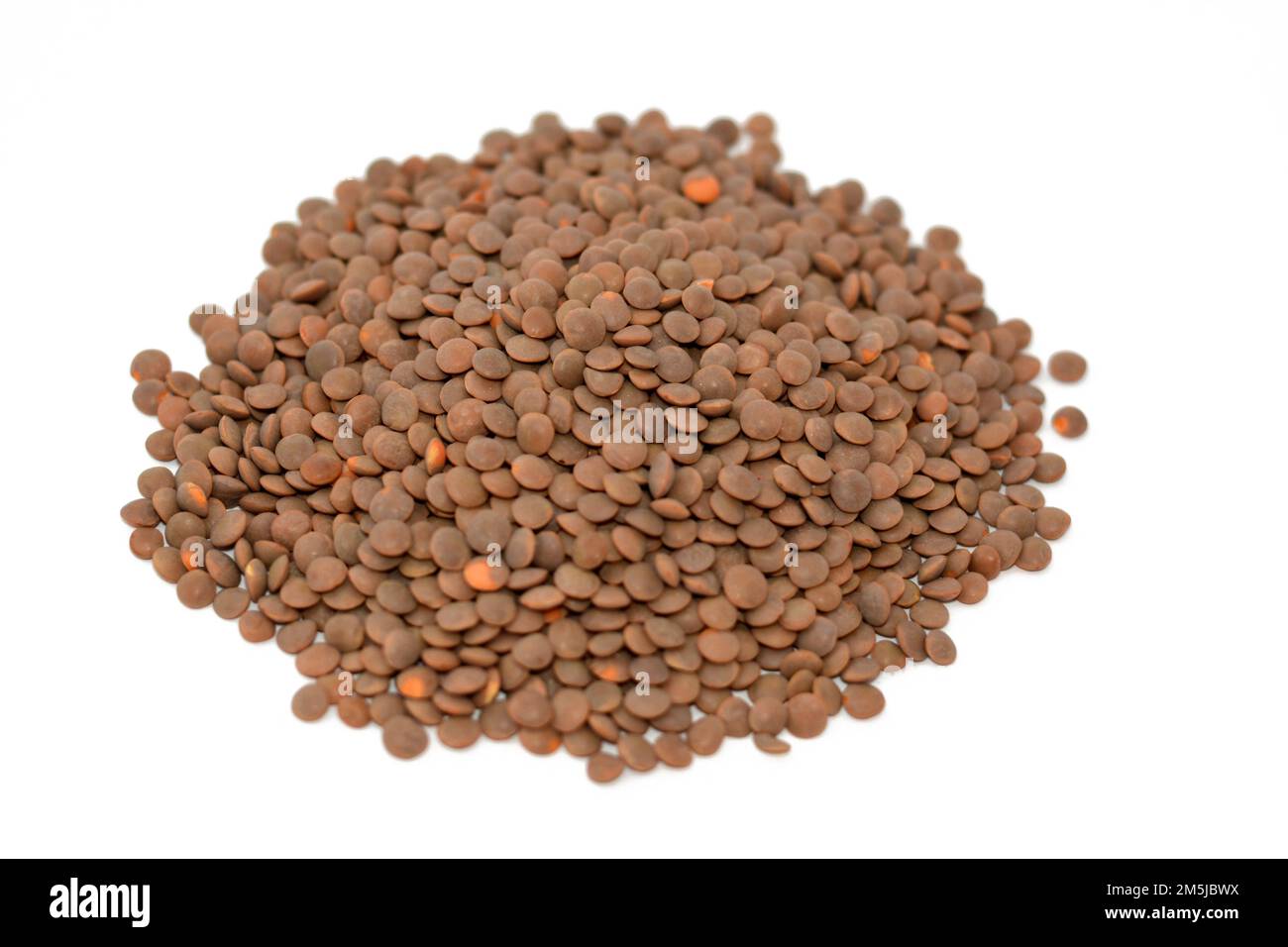 Pile of brown lentils (Lens culinaris or Lens esculenta), an edible ...