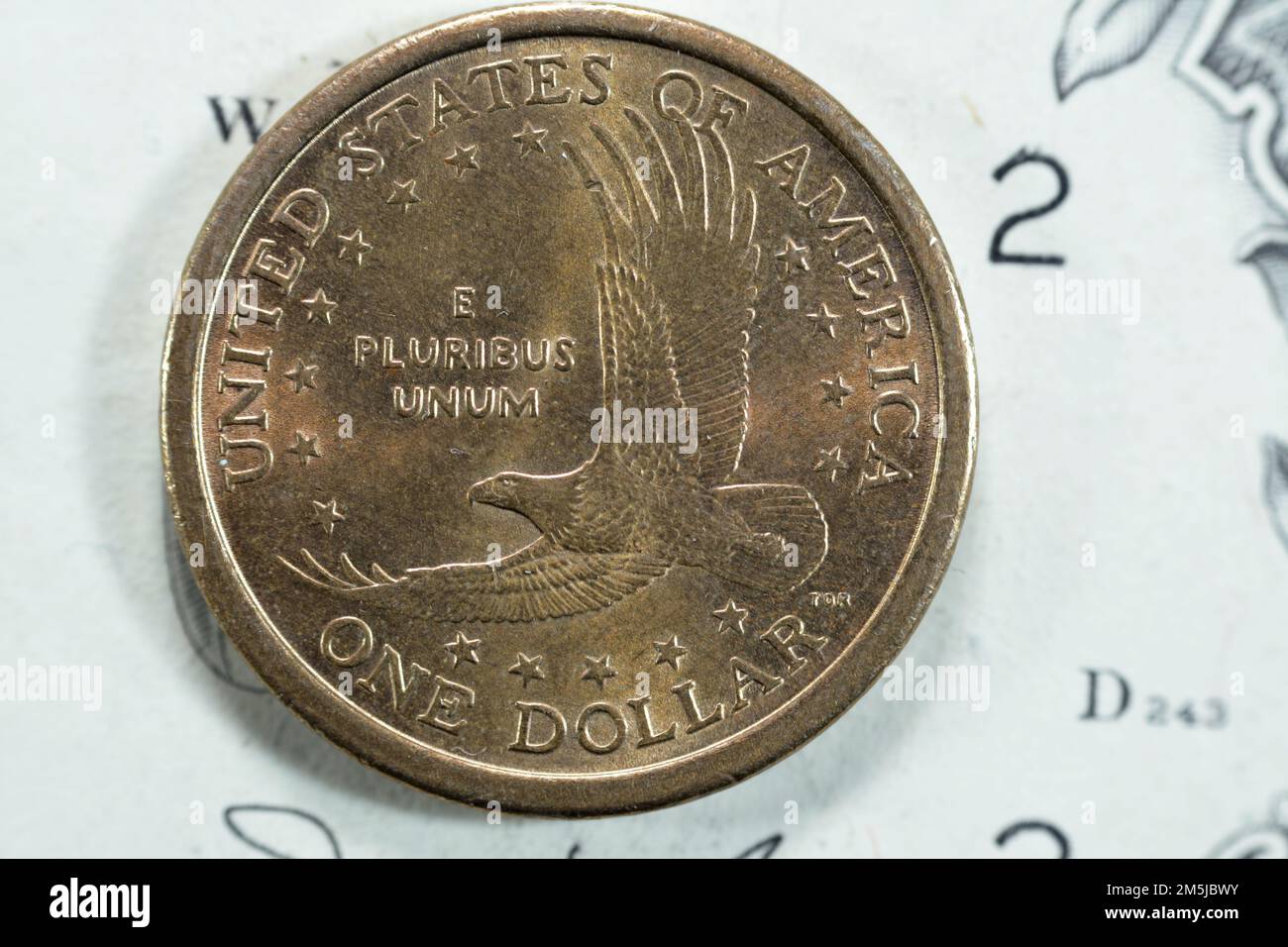 Bald eagle in flight from the reverse side of The golden Sacagawea ...